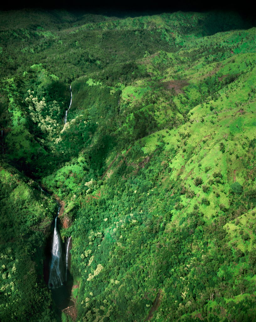 Manawaiopuna Falls (Jurassic Falls)